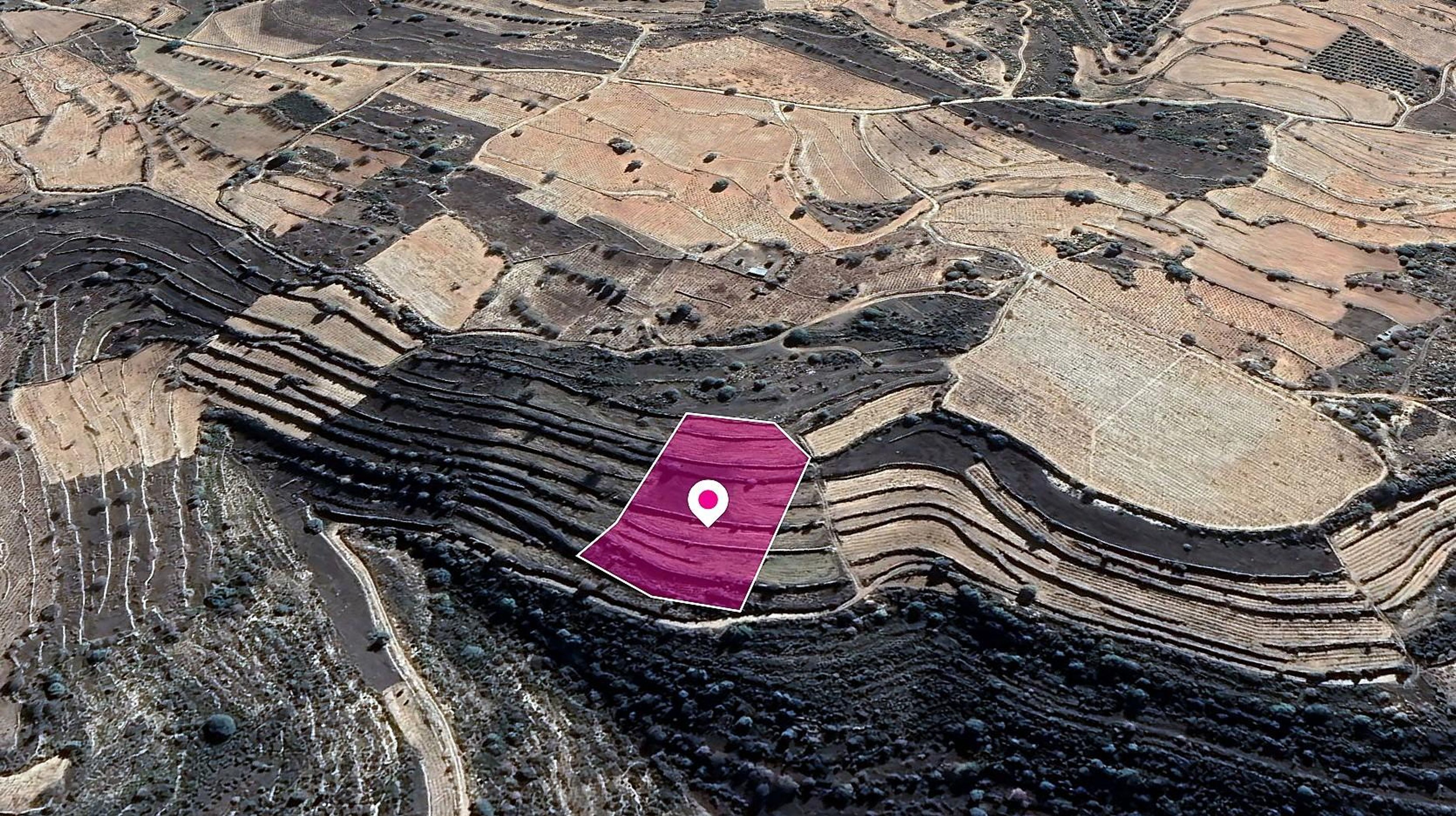 Agricultural Field, Pachna, Limassol | Altia