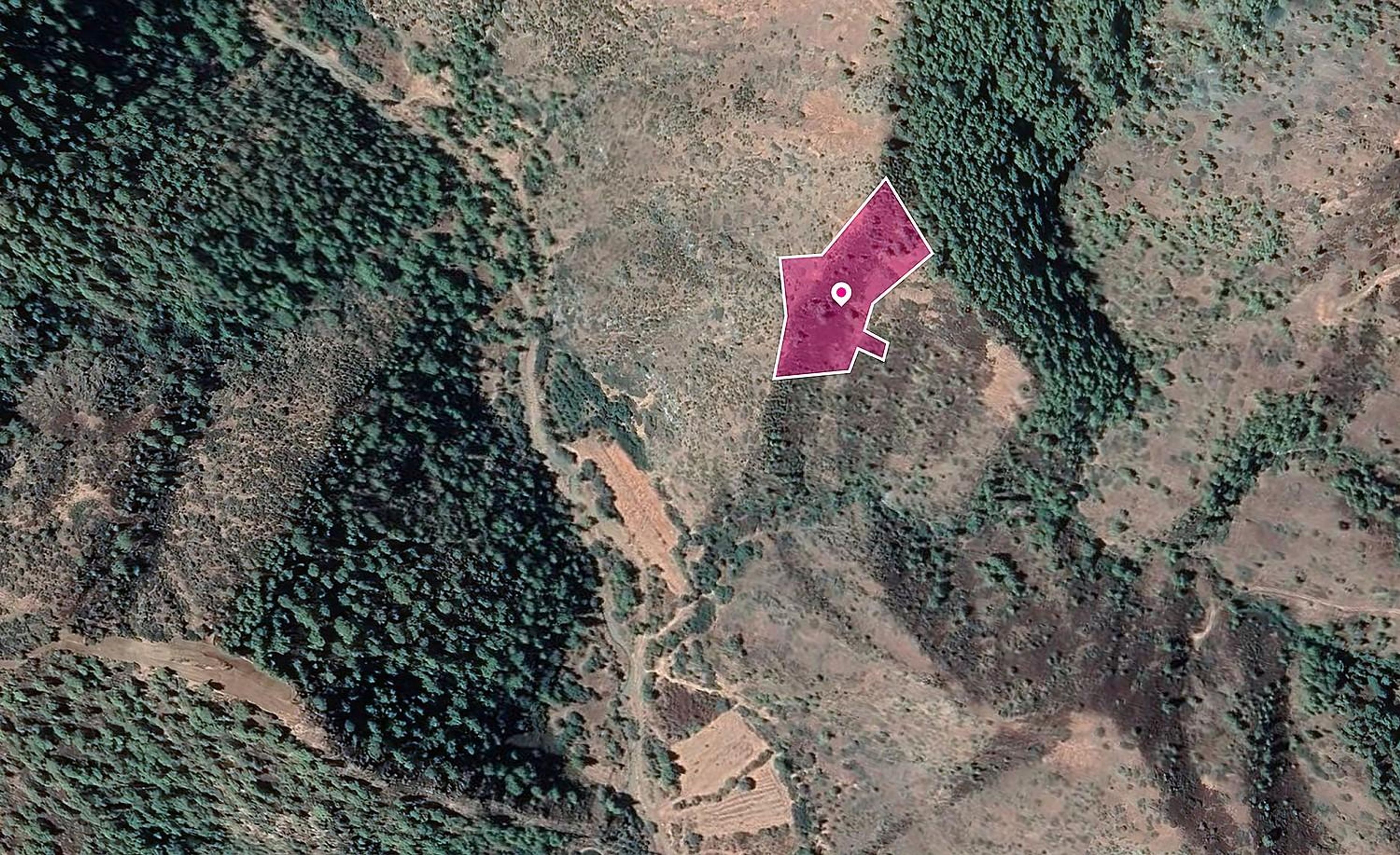 Agricultural field in Pigenia, Nicosia | Altia